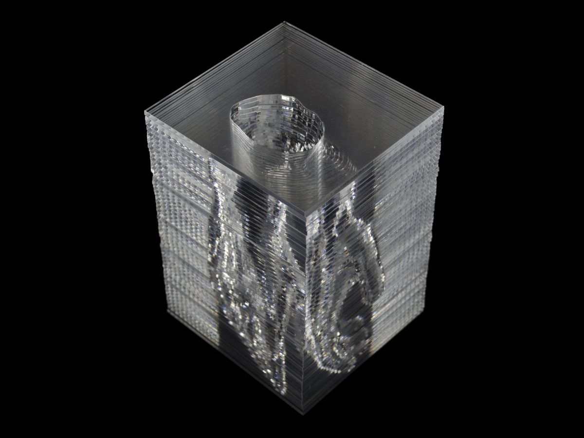 hand.003 – Expandedfield