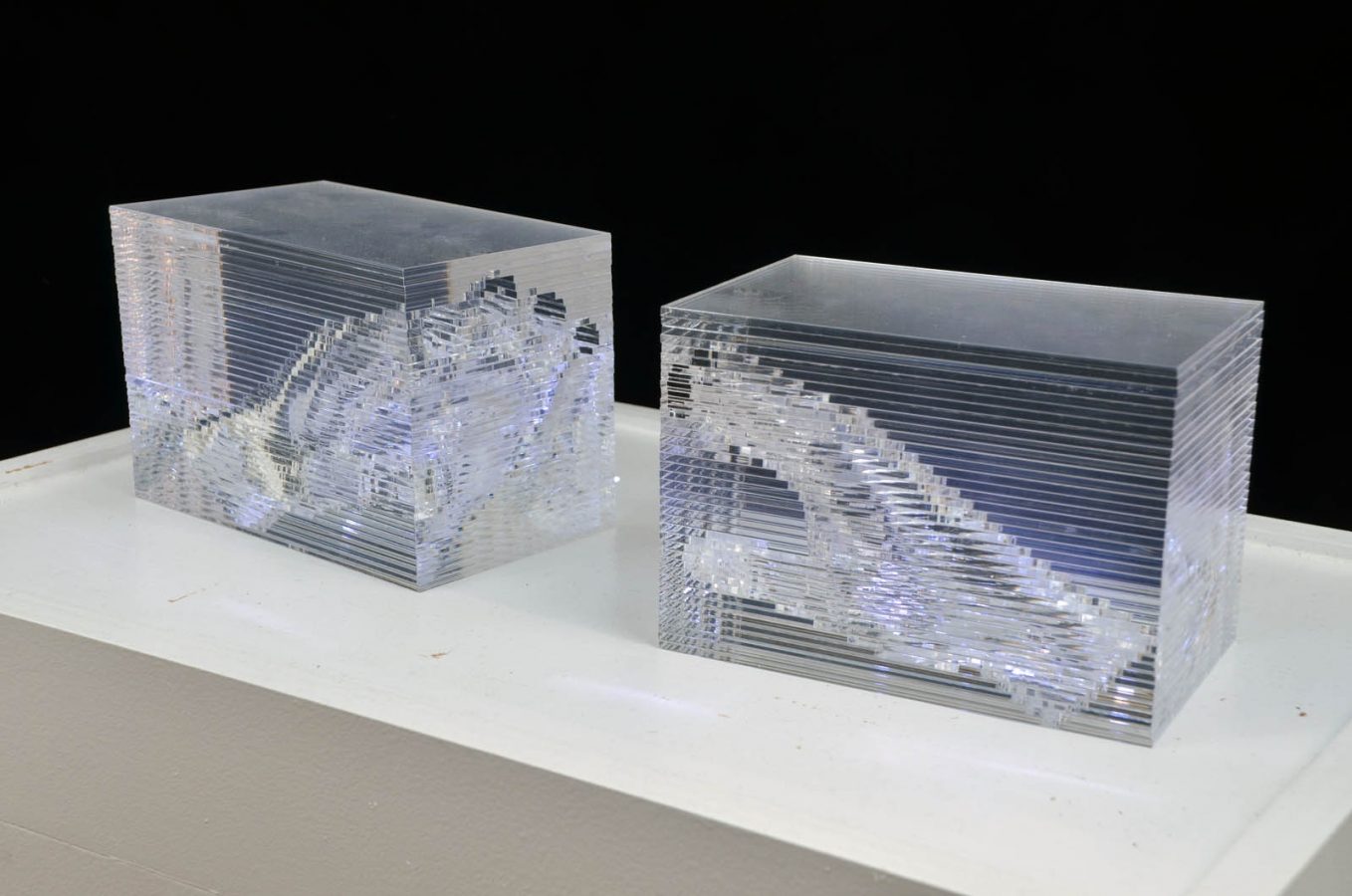 hand.009 – Expandedfield