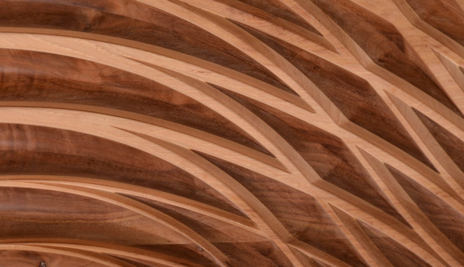 Dissipate 001 – Expandedfield