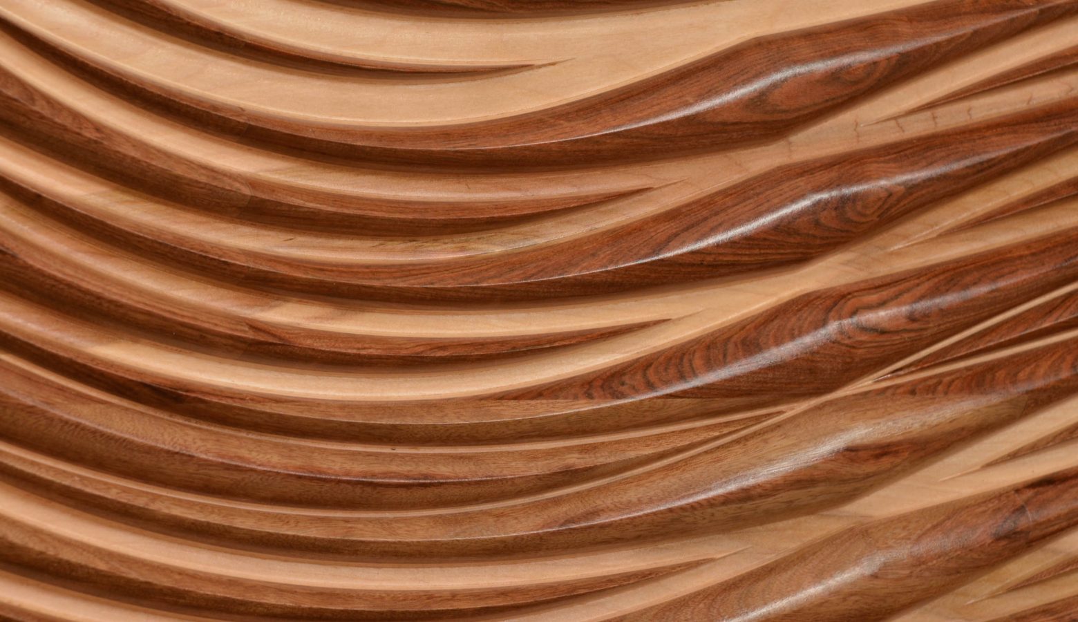 Dissipate 002 – Expandedfield